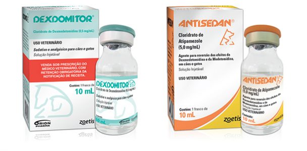 NOVA TECNOLOGIA DE SEDAÇÃO PROPICIA RÁPIDA RECUPERAÇÃO AOS ANIMAIS ...