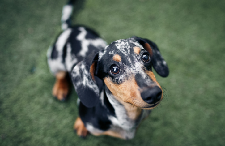 Pesquisa destaca radiografia na prevenção do risco de hérnia discal na ...