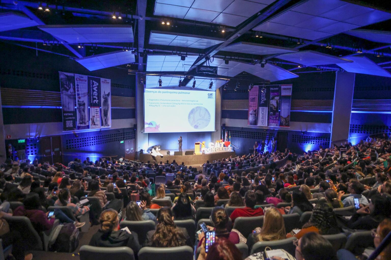 Cat Congress 2024 contou com palestras científicas patrocinadas pela ...