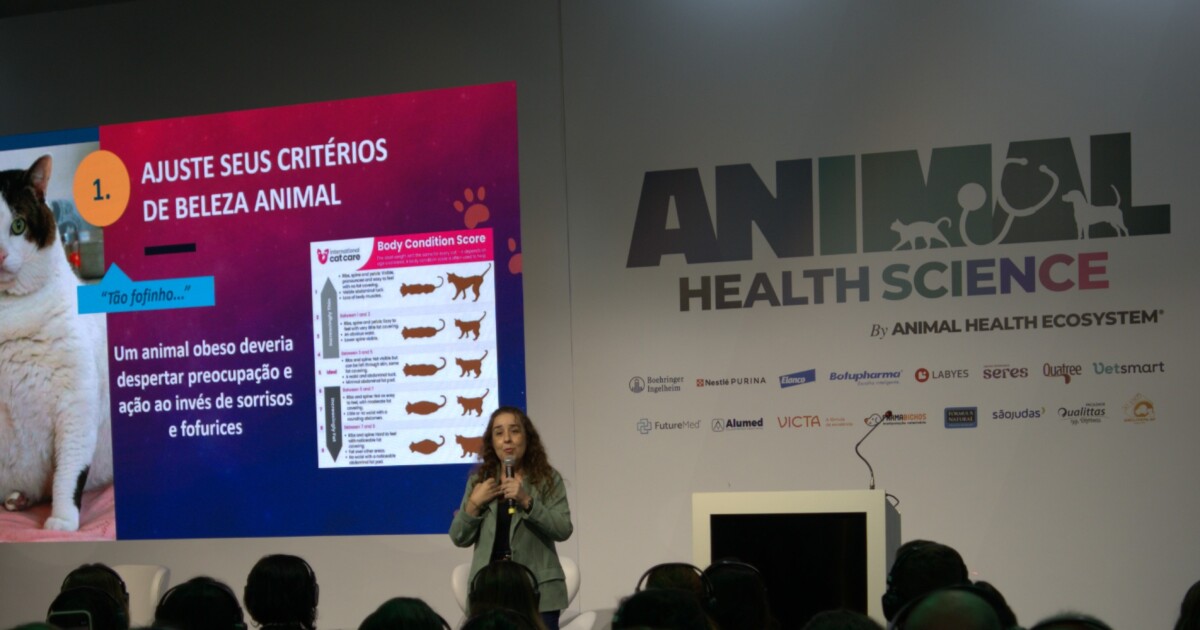 Manejo da Síndrome da Disfunção Cognitiva é tema da palestra no Animal ...