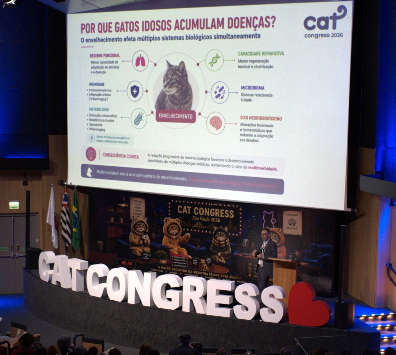 Multimorbidades de pacientes felinos idosos são tema de palestra no Cat ...
