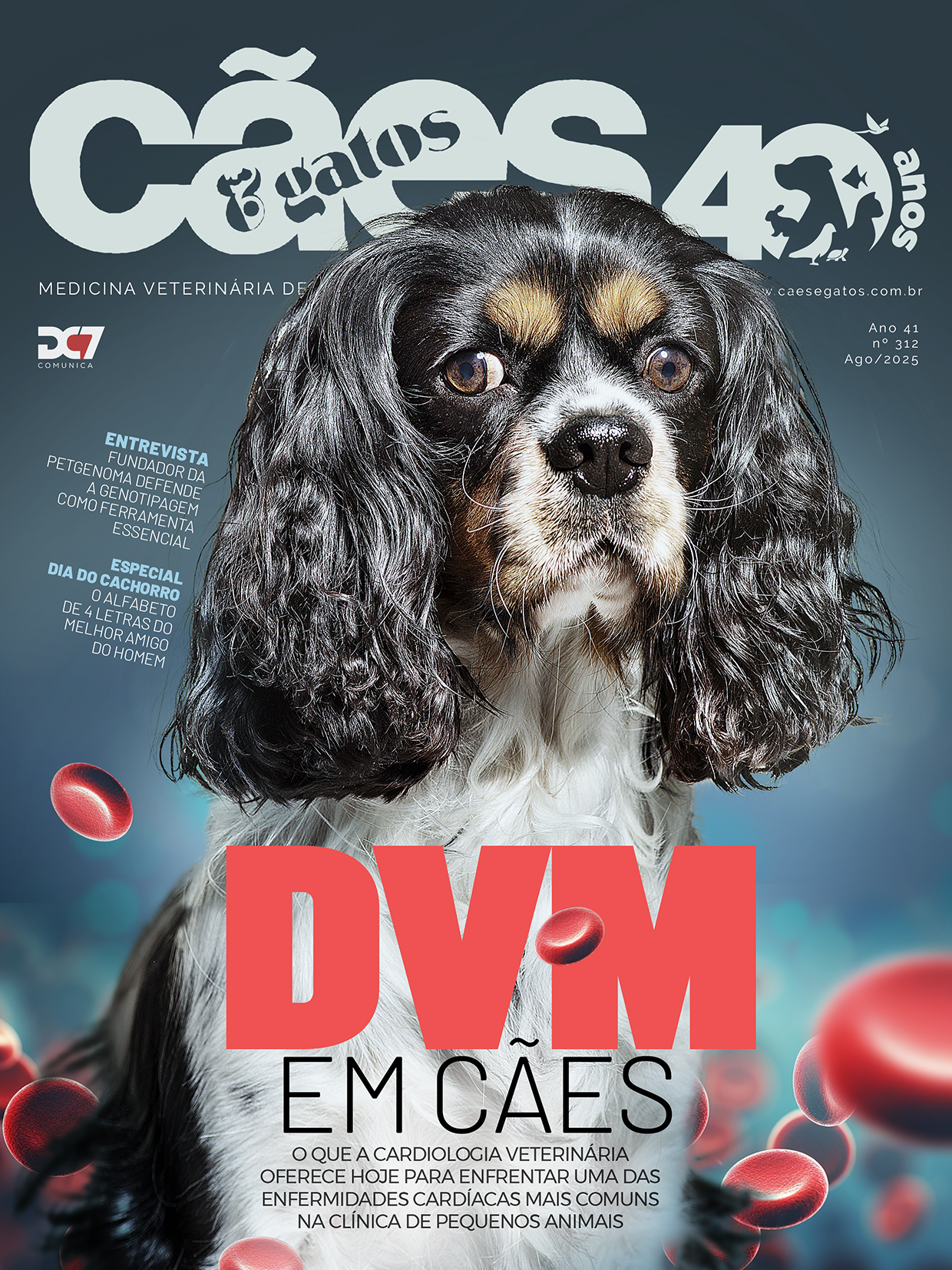 Curiosidades sobre os felinos que todo tutor de gatos deve saber!