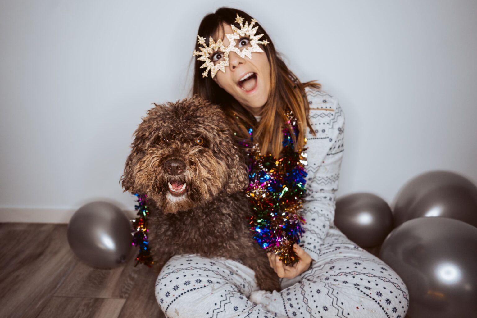 Guia de primeiros socorros para acidentes com pets nas festas de fim de ...