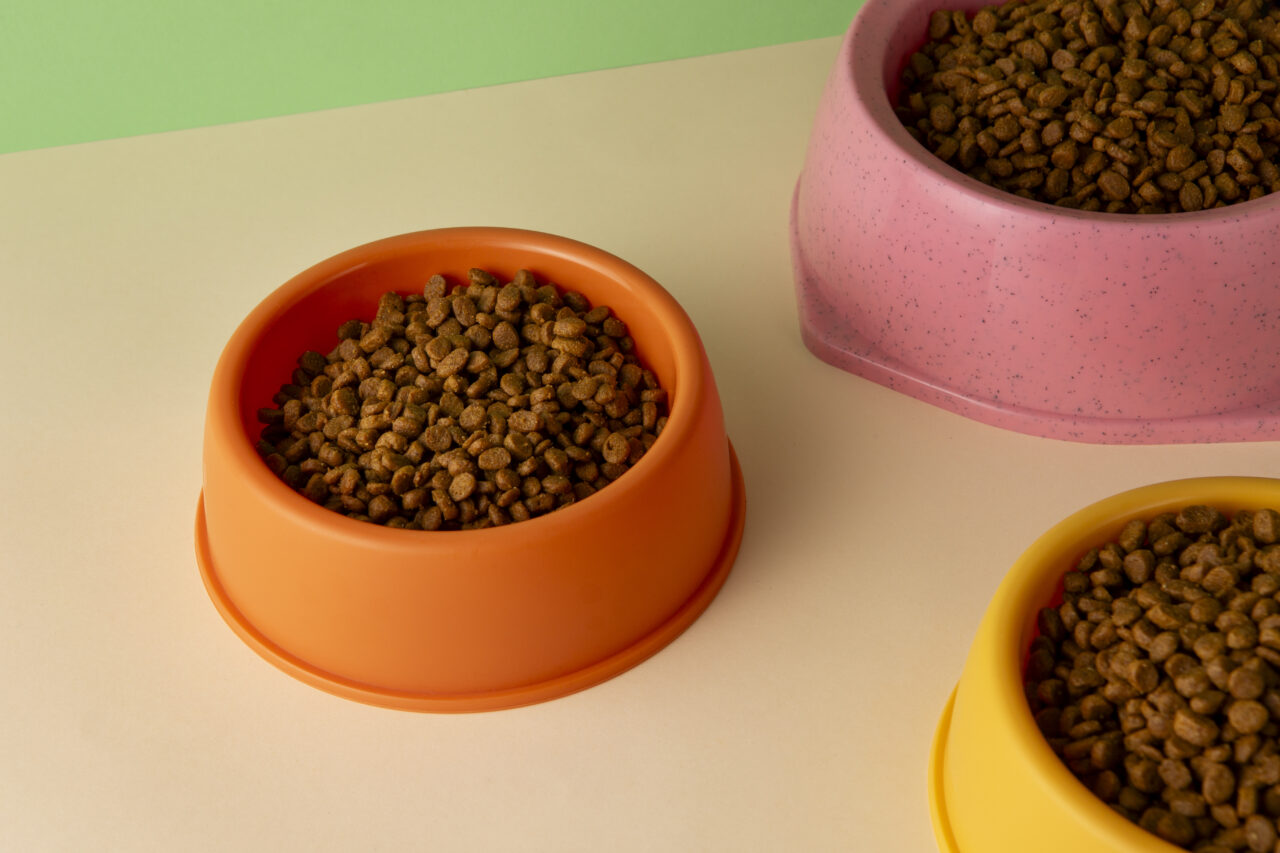 Mercado de antioxidantes para pet food deve movimentar mais de R$ 2 ...