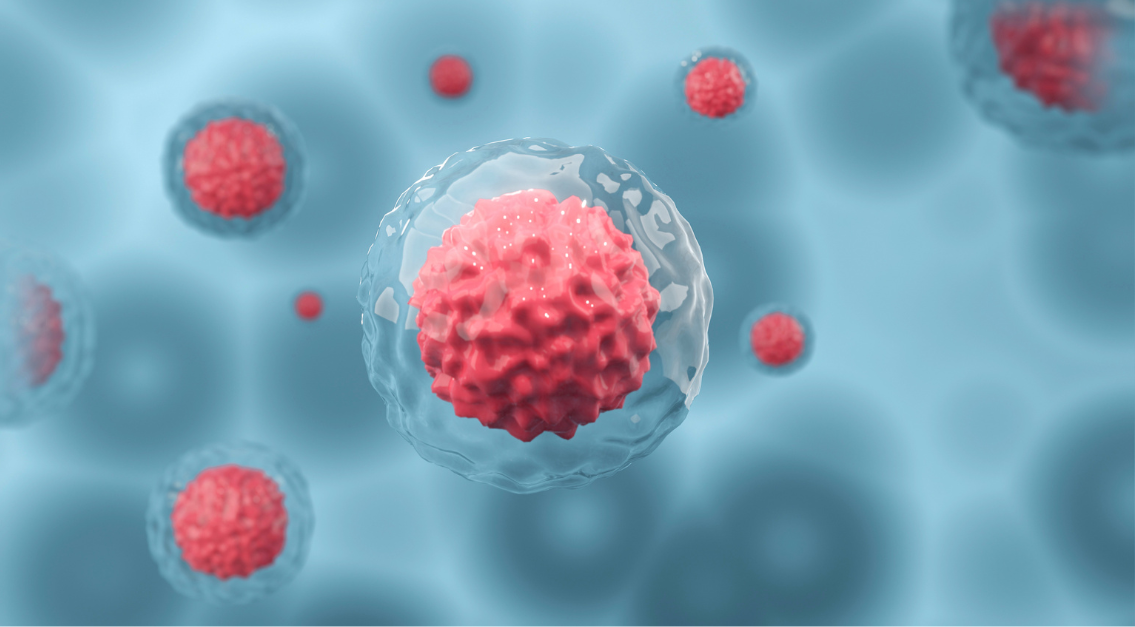 Terapia com células-tronco avança na Medicina Veterinária e oferece ...