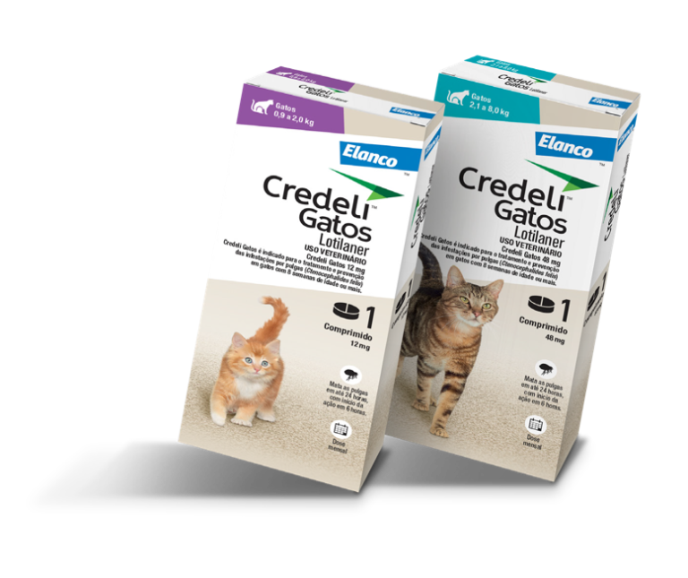 Credeli Gatos é o novo medicamento antipulgas da Elanco – Portal Cães e ...